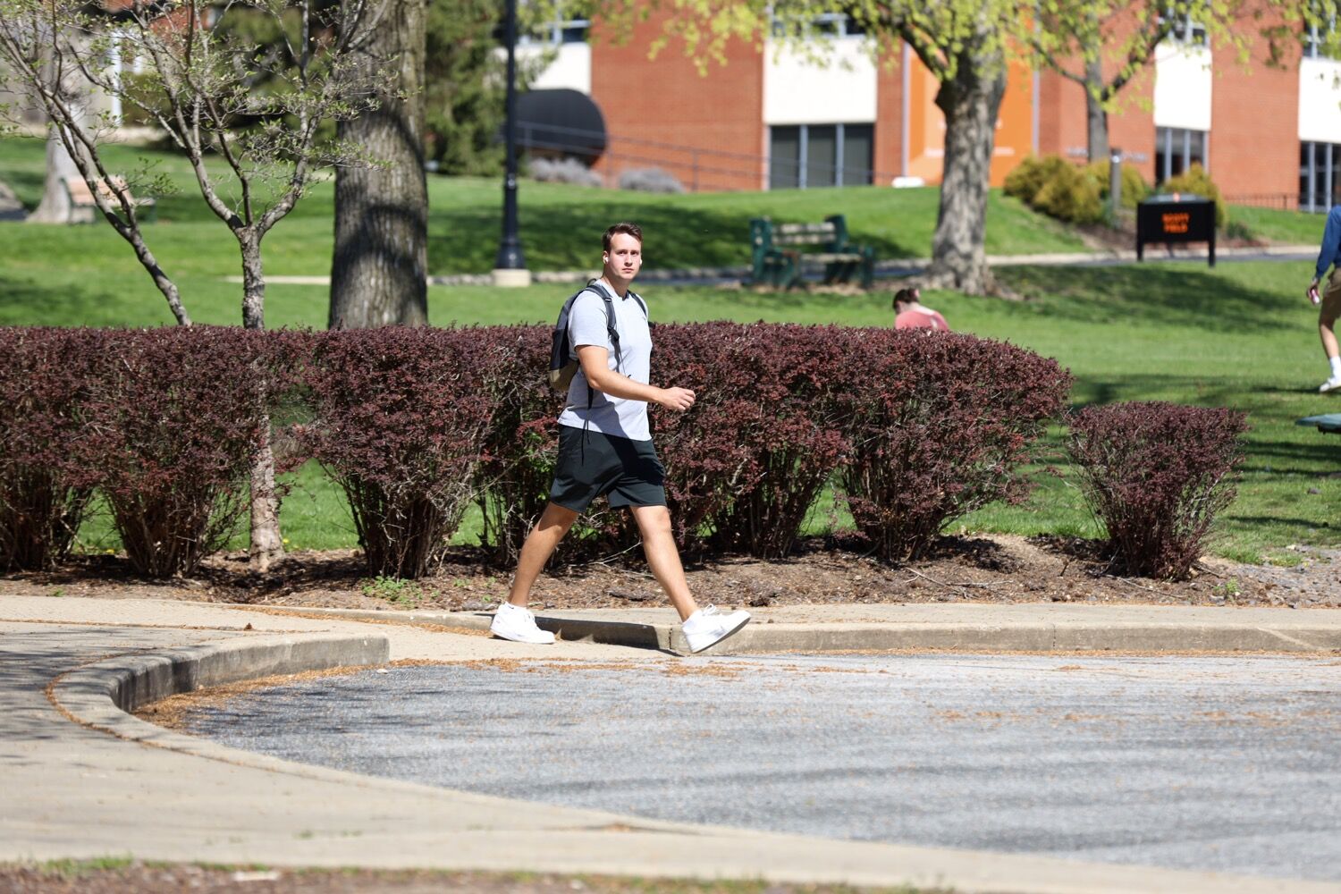 Next Steps After Enrolling Greenville University